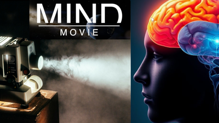 Home - That's Life 24/7